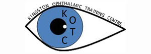 Kingston Ophthalmic Training Centre | Department of Ophthalmology ...